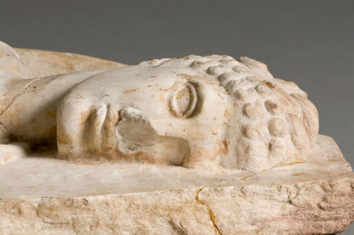 Collaborative UGA research project reveals surprising information about ...