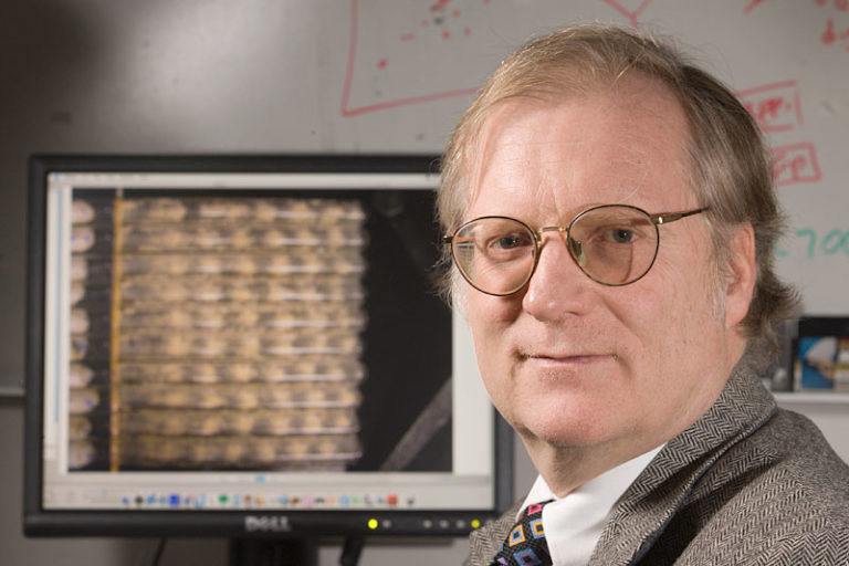 Franklin College professor of genetics named AAAS Fellow - UGA Today