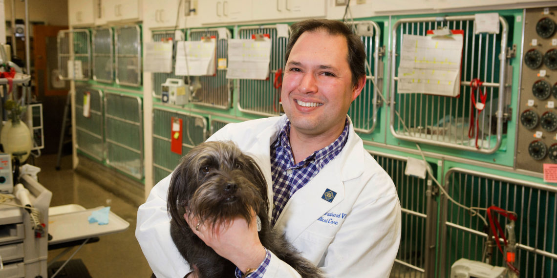 Benjamin Brainard - UGA Today