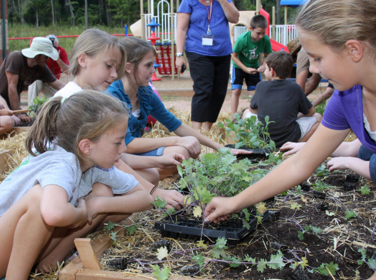 UGA launches school garden curriculum resource center for teachers ...
