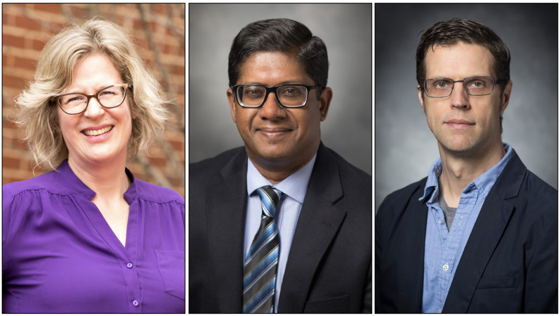 Three UGA faculty members honored as Meigs Professors - UGA Today