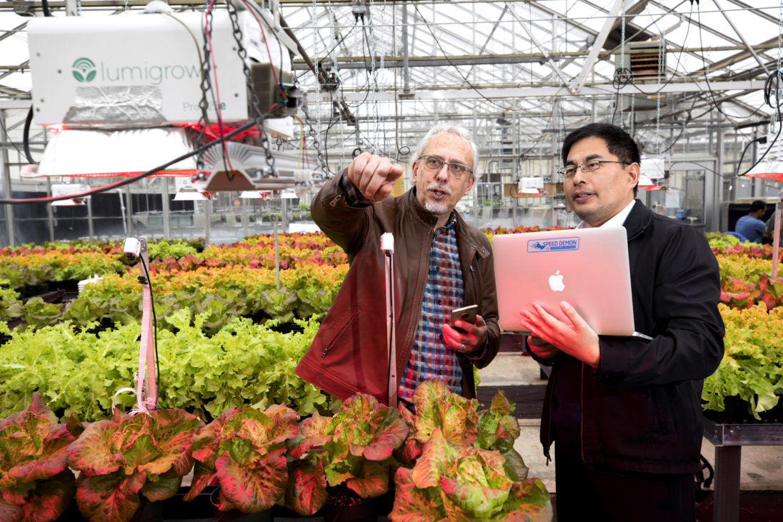 Interdisciplinary Seed Grants bring researchers together - UGA Today