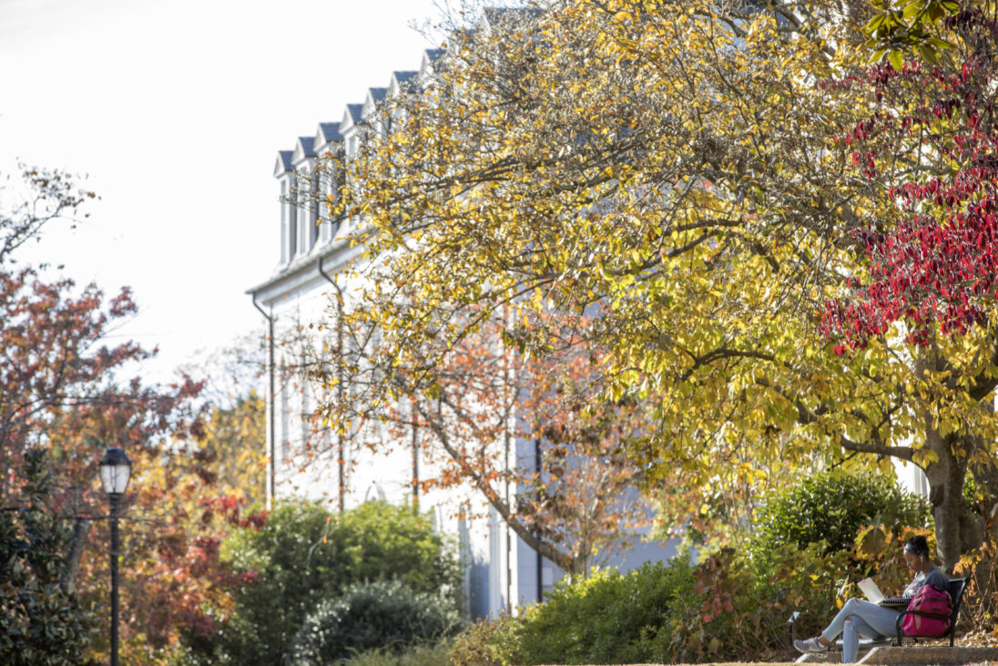 Fall colors cover campus