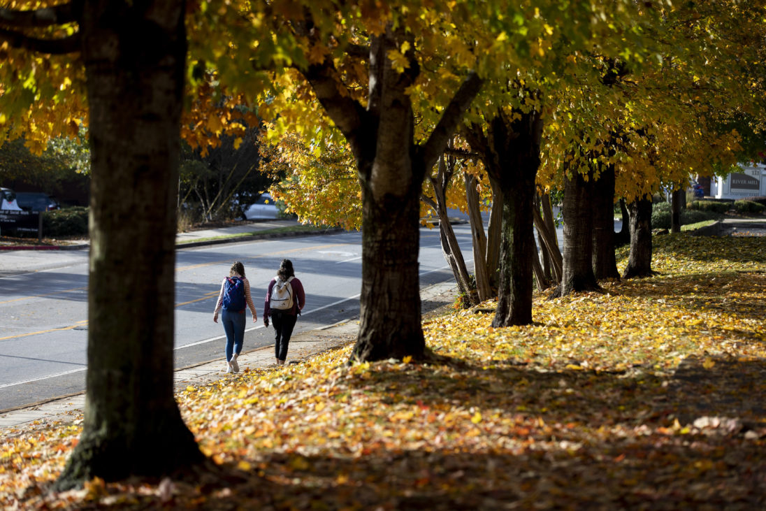 Fall colors cover campus