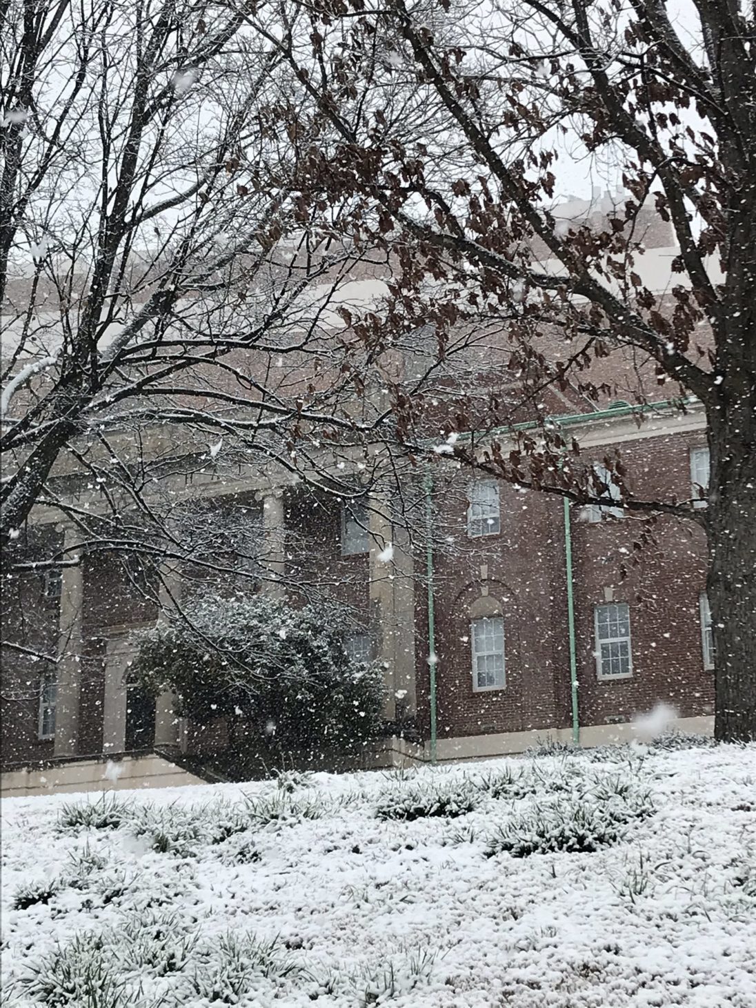 Campus gets a white coat