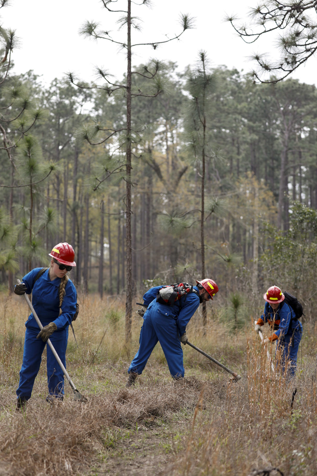 Students get hands-on experience in prescribed burn