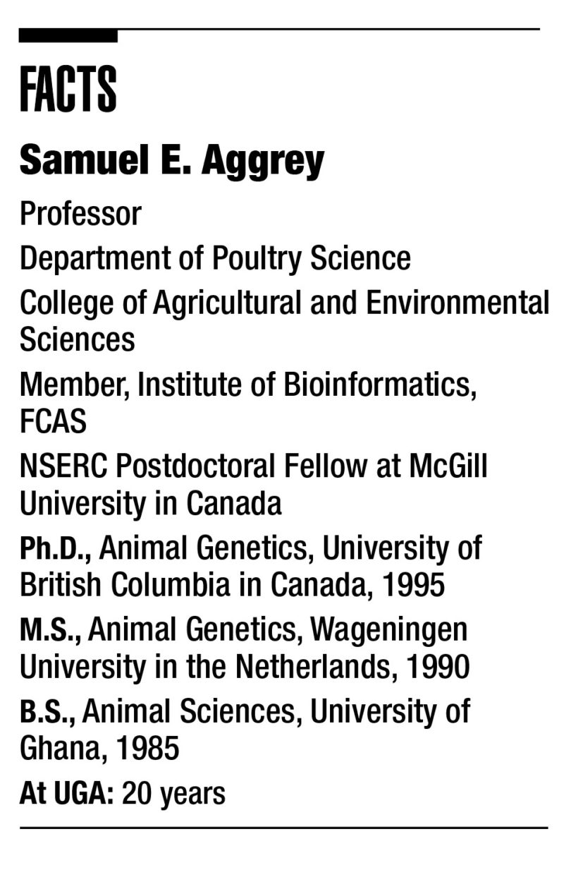 Professor’s poultry work has implications for humans - UGA Today