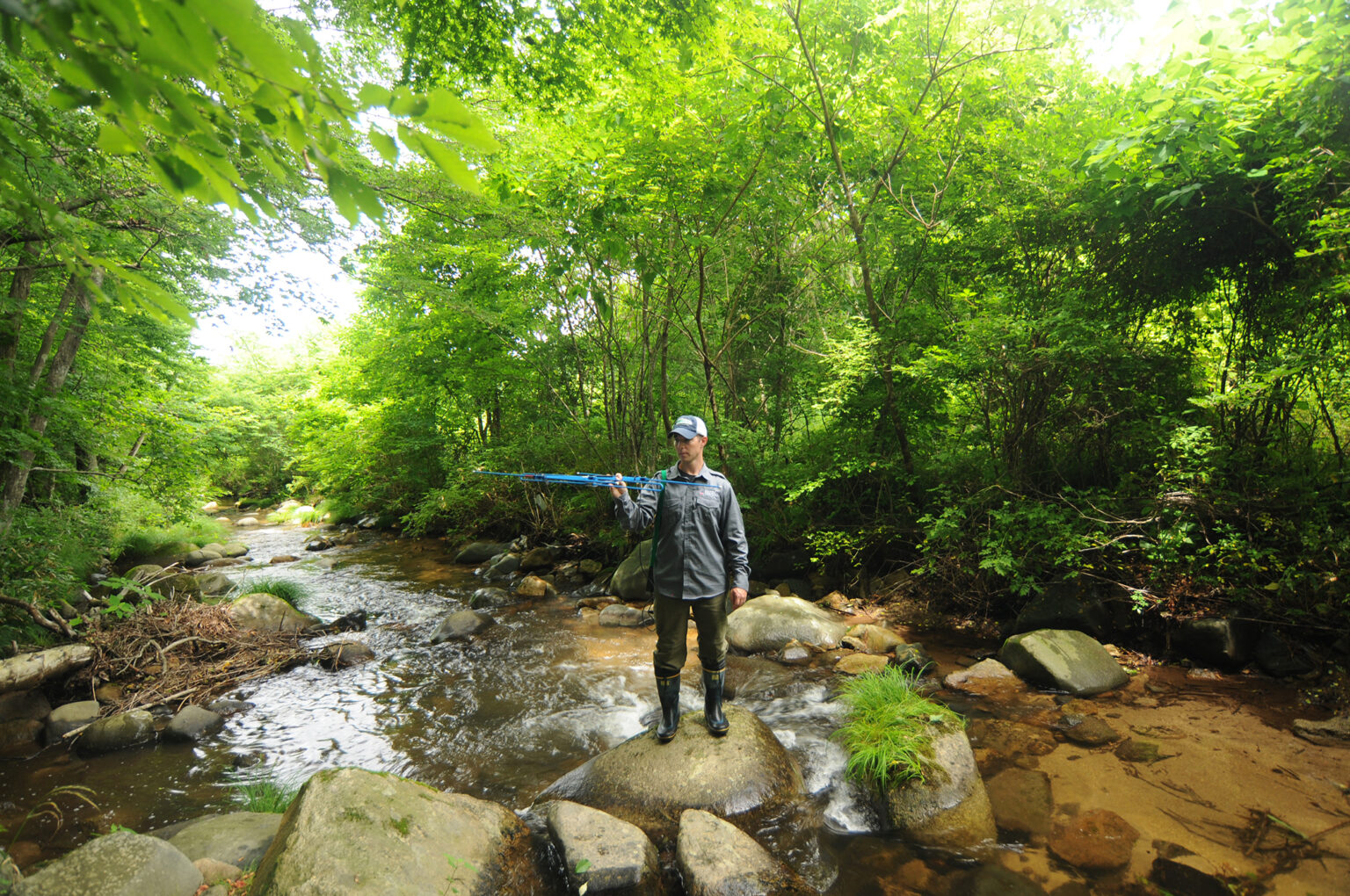 Wildlife reclaims habitat in Fukushima’s nuclear exclusion zone 10 ...