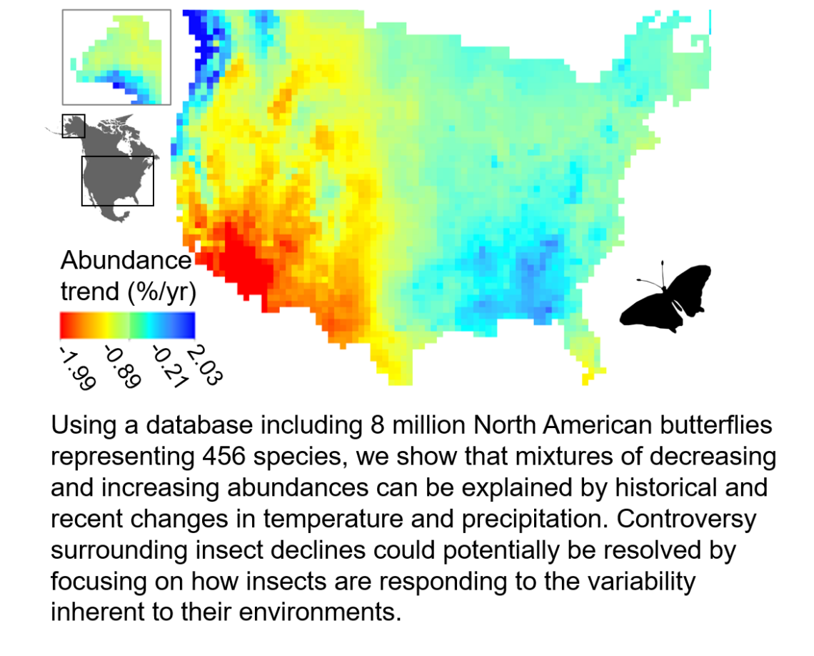 Butterflies increase and decline related to climate