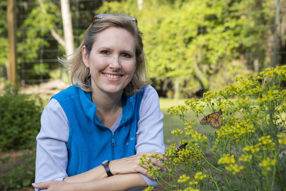 Altizer named interim dean of Odum School of Ecology