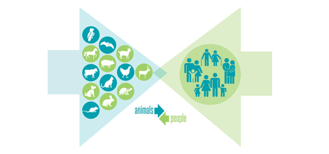 What causes disease outbreaks?
