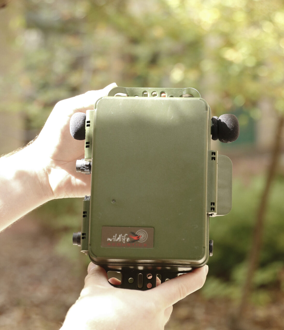 AI answers the call for quail information
