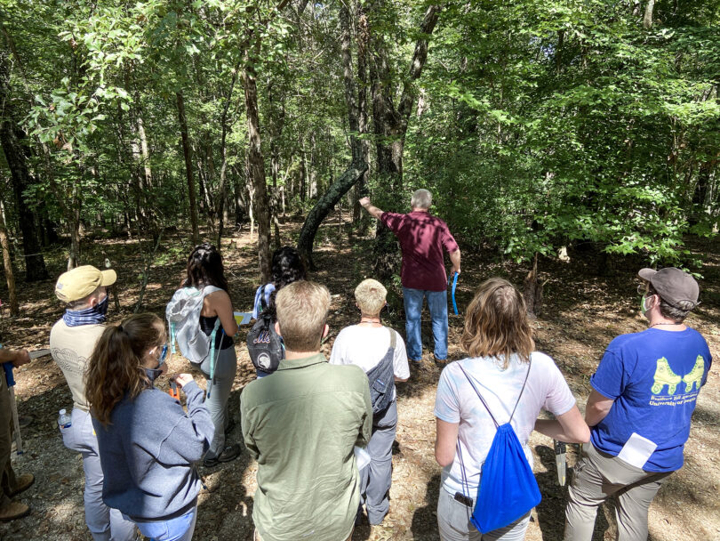 New project connects forest management, digital tools