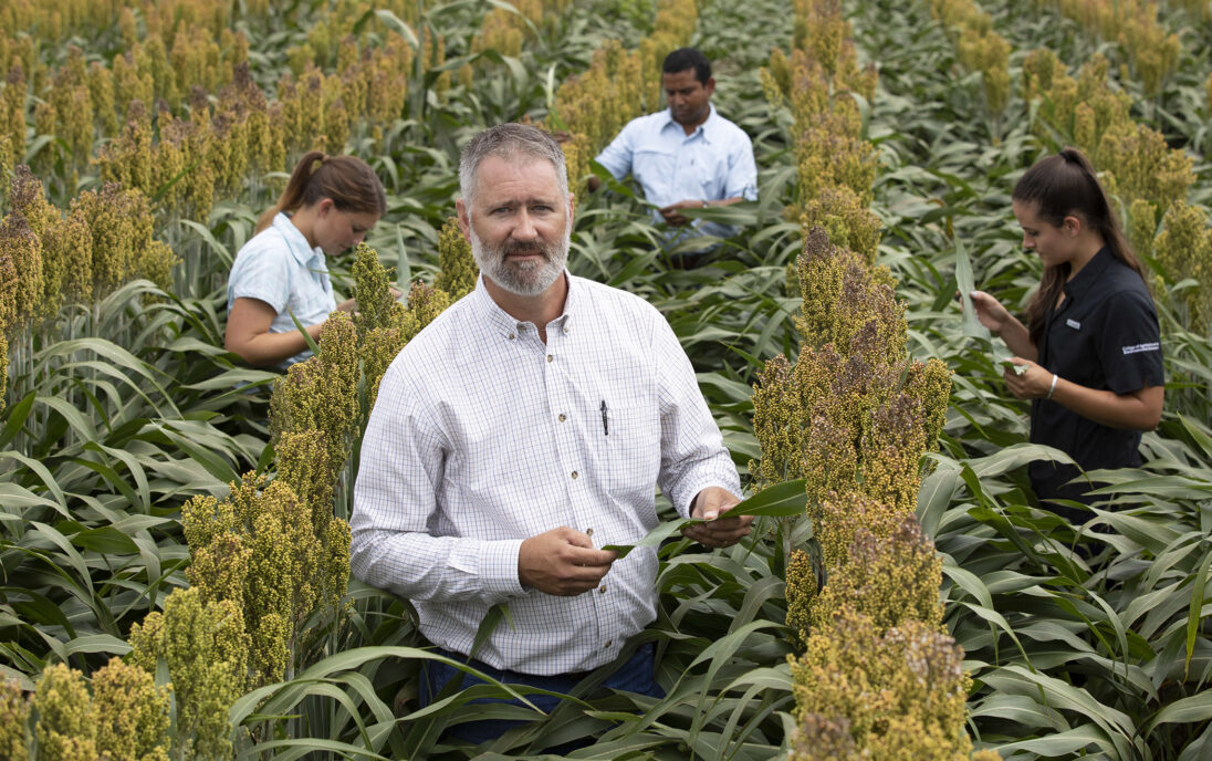 UGA awarded $4 million to design farm of the future