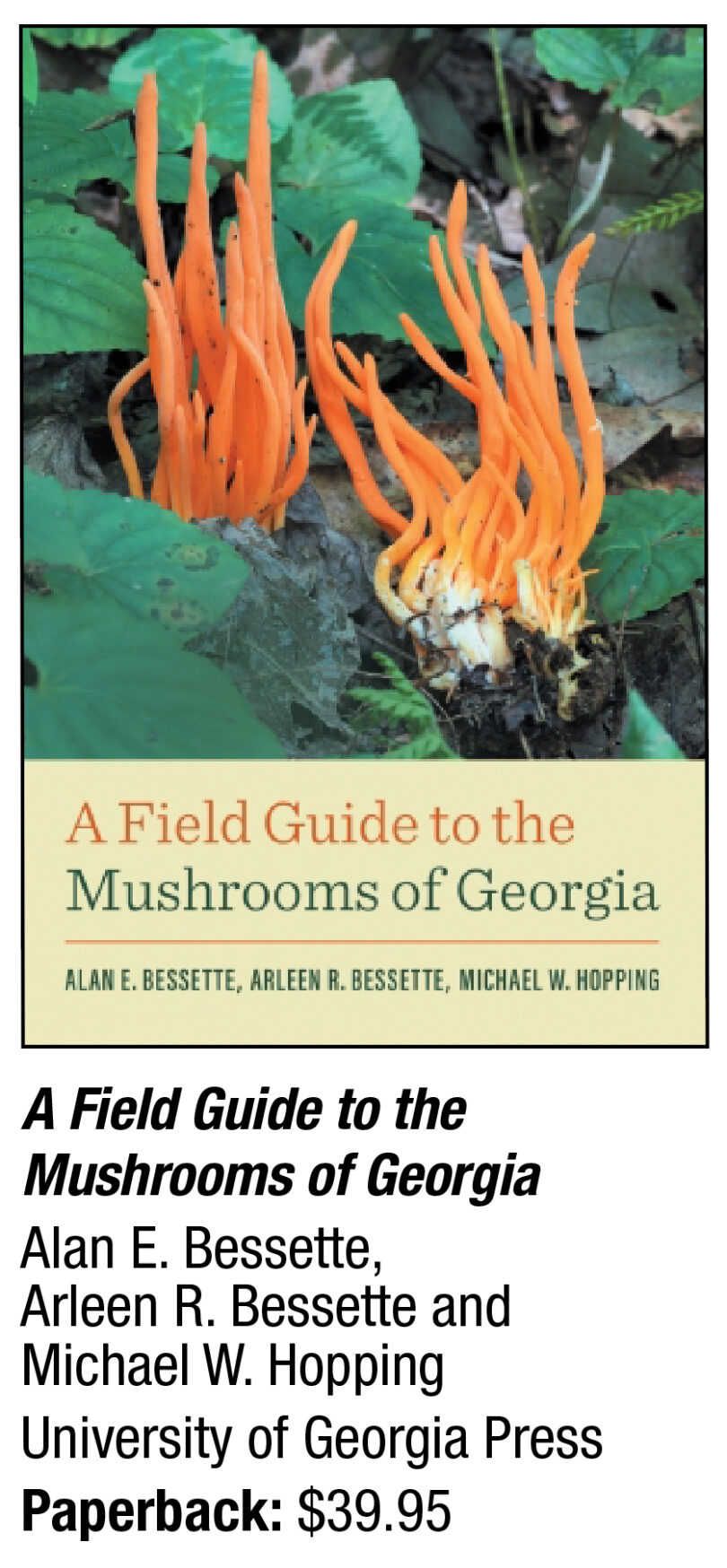 Guide helps foragers find and identify Georgia mushrooms - UGA Today