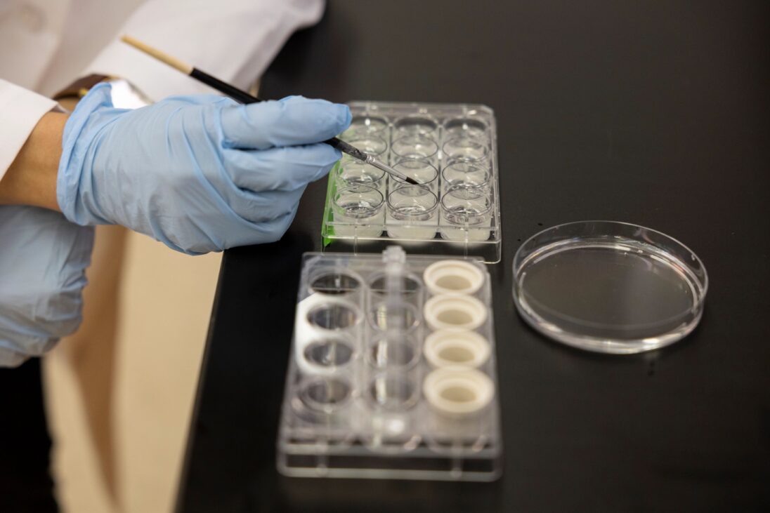 UGA again leads the nation in new products based on research