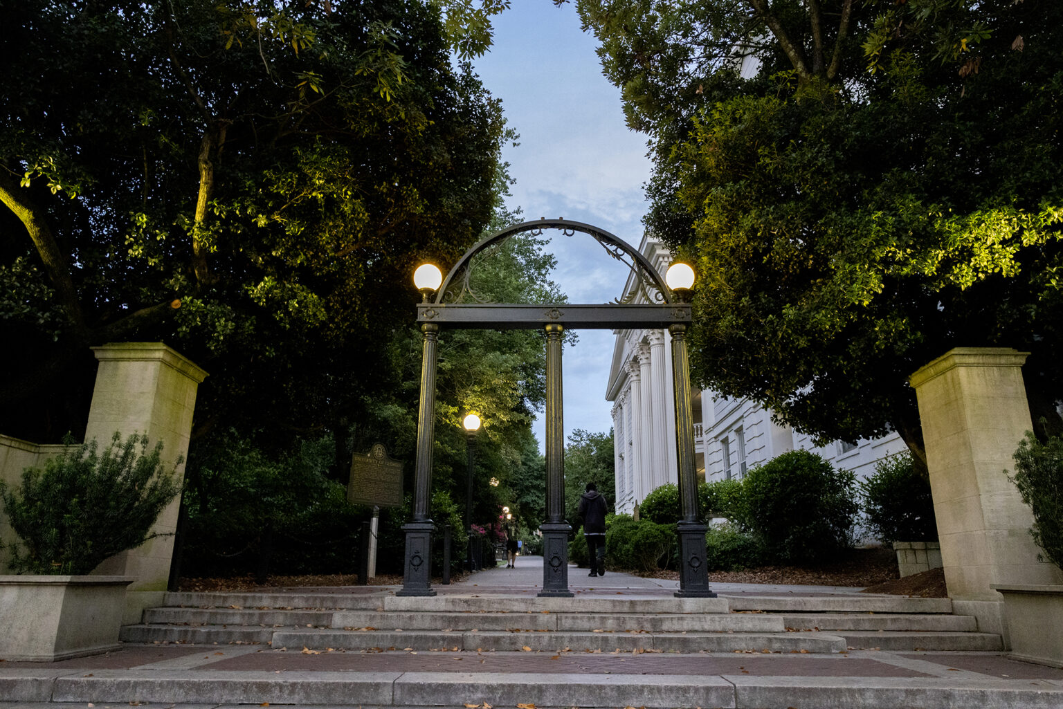 Top 20 for 8 straight years