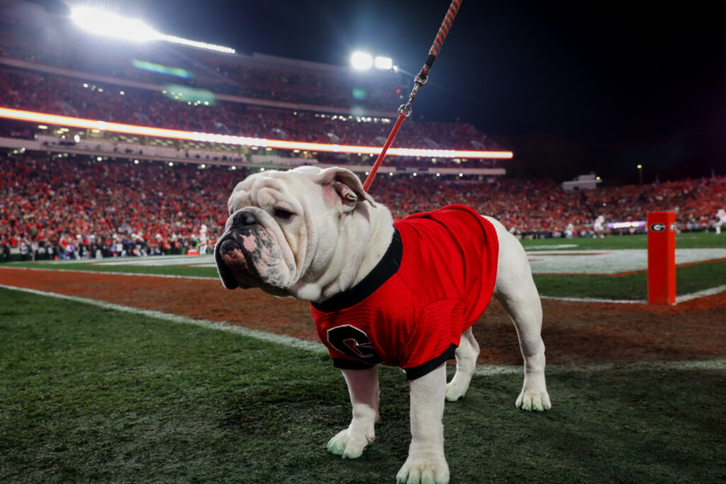 Bulldogs roll over Rebels in home finale