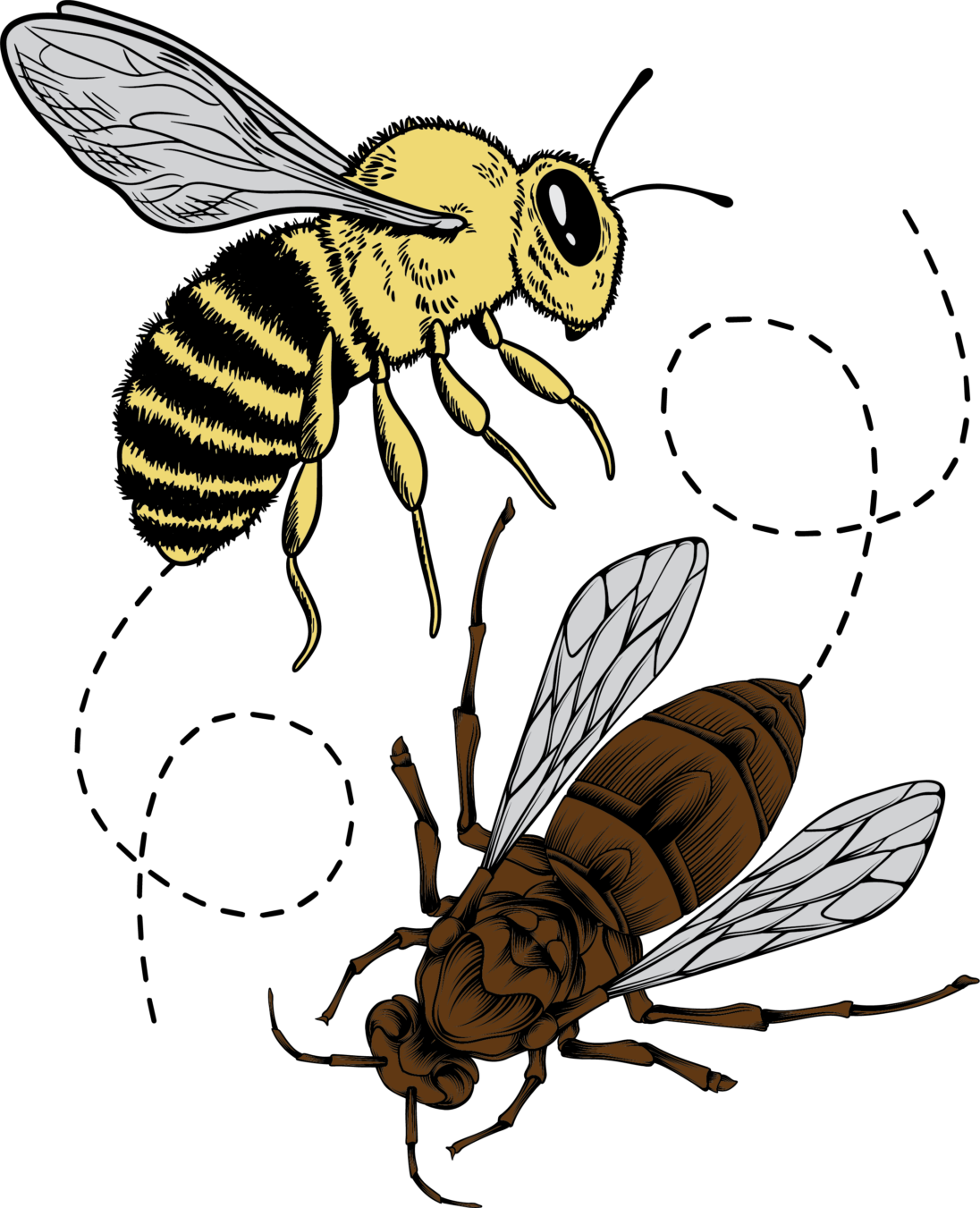 To Bee or Not to Bee? How to Socialize with Bees and Wasps. - UGA Today