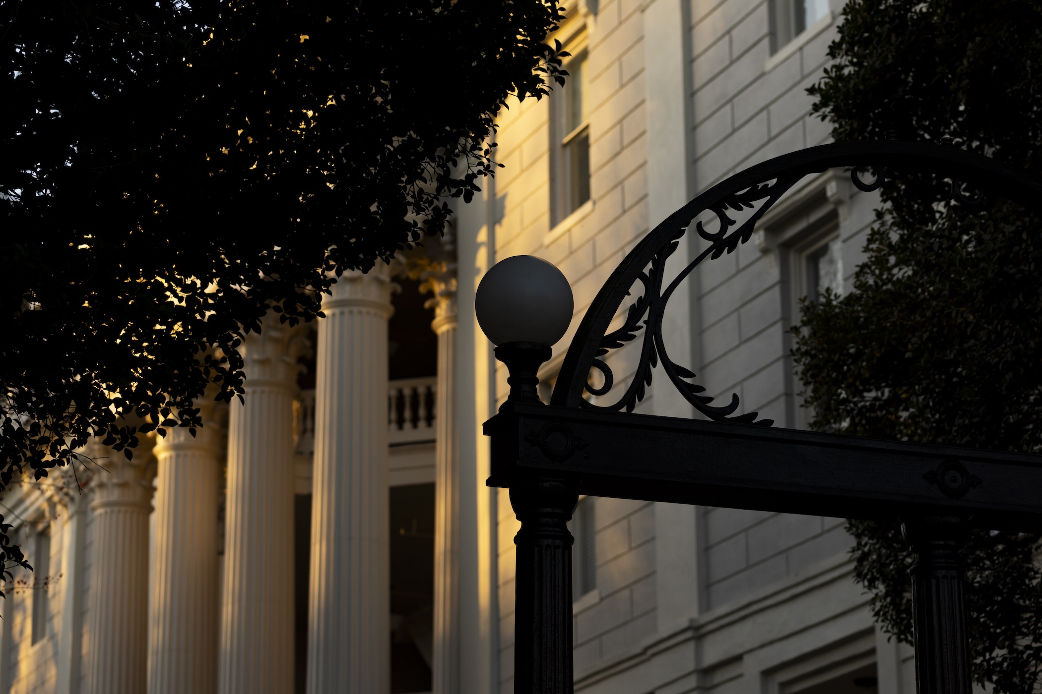 UGA receives $1.5 million from the Moore Foundation to support ...